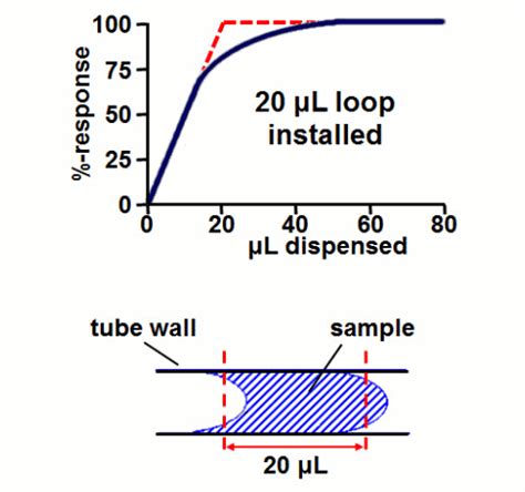 Sample Loop Filling Characteristics Separation Science
