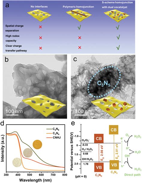 Verifying The Unique Charge Migration Pathway In Polymeric