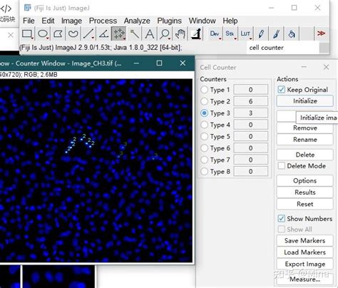 Imagej 使用教程：1 细胞计数 知乎