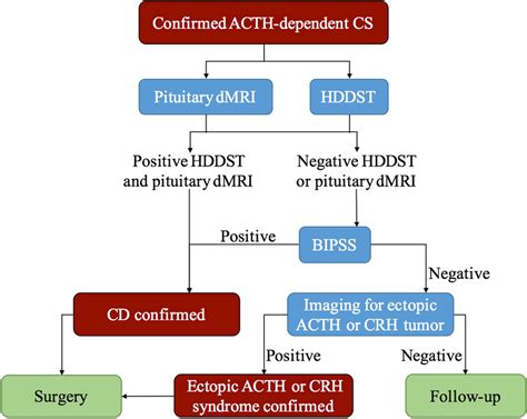 The Flowchart For The Differential Diagnosis Of Confirmed Download Scientific Diagram