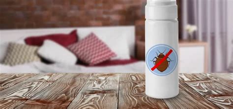 Bed Bug Treatment East Midlands Clearview Bed Bug Monitor