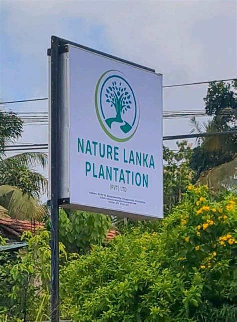 codex dev 360 on linkedin codex websitelaunch naturelankaplantation webdevelopment…