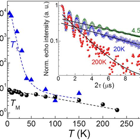 Temperature Dependent Spin Dynamics Temperature Dependence For Tm Download Scientific Diagram