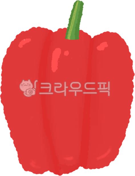파프리카 파프리카일러스트 파프리카그림 파브리카모양 채소 사진이미지일러스트캘리그라피 효푸작가