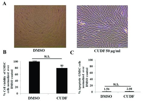 Effects Of Cudf Upon Gmscs In Terms Of Cell Viability And Apoptotic Download Scientific Diagram