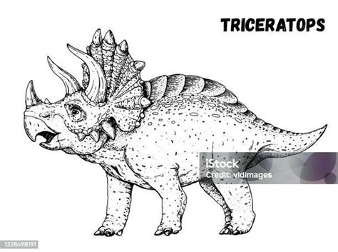 트리케라톱스 공룡 손으로 그린 스케치 벡터 그림입니다 초식 공룡 검은색에 대한 스톡 벡터 아트 및 기타 이미지 검은색 공룡 일러스트레이션 Istock