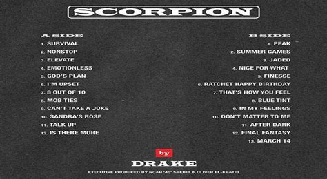 Scorpion Album Review Drake Is Part Rap Goat Part Pop Icon On Scorpion