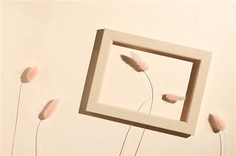 베이지 색 배경의 프레임에 스파이크렛 예술 장식 미니멀 한 정물 모래 색상 용기 제작물에 대한 스톡 사진 및 기타 이미지 용기 제작물 투명한 화장품 Istock