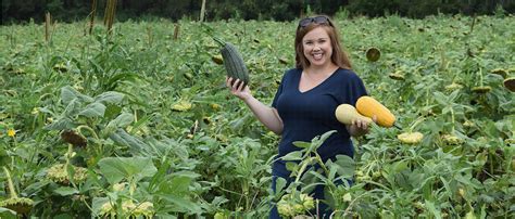 Squash Bee Populations Growing Fast While Other Bees Fail