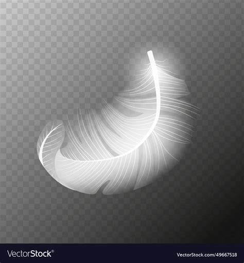 White Flying Feather Royalty Free Vector Image