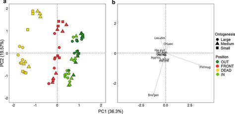 Principal Component Analysis Pca Loading Plots Of The 69 Sampling Download Scientific Diagram