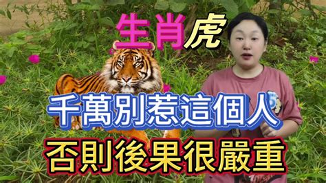生肖虎！千萬不要惹這個人！否則後果很嚴重！因為他們是你一生的剋星！天生註定克你！屬虎人一定要注意！生肖 風水 分享 運勢 佛教