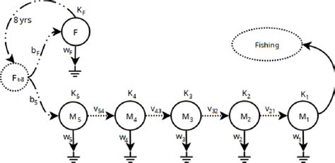 Graphical Structure Of The Six Component Model 2 Of Snow Crab With
