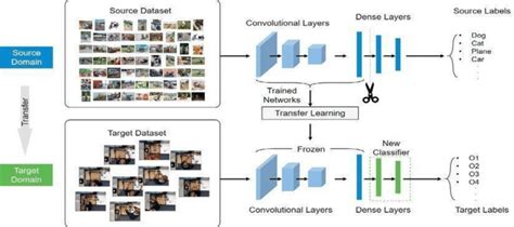 Transfer Learning Architecture 3 Tensorflow Api The Object Detector