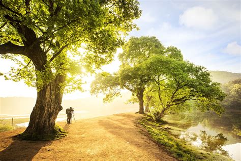 일지 이승헌 존중은 다른 사람들에게서 얻는 것이라기보다는 자신의 일상의 행동과 말을 통해서 자신이