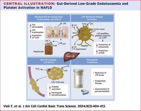Endotoxemia And Platelets 2 Players Of Intrahepatic Microthrombosis In