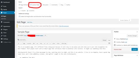 How Can I Activate Custom Fields Checkbox In Pages Wordpress