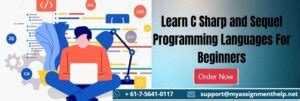 Learn C And Sequel Programming Languages For Beginners