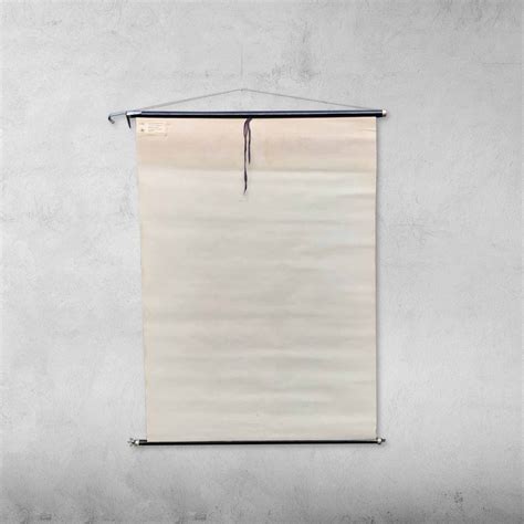 Pull Down Chart Of Endocrine System 1970s For Sale At Pamono