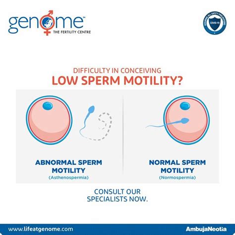 Sperm Motility Artofit
