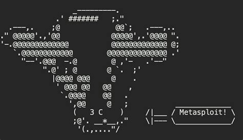HackingDNA Exploit VSFTPD