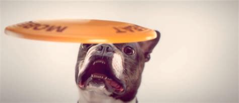 World Class Execution Nzinck