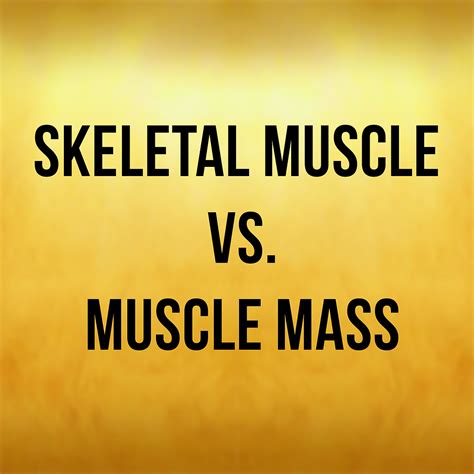 Skeletal Muscle Vs Muscle Mass Whats The Difference