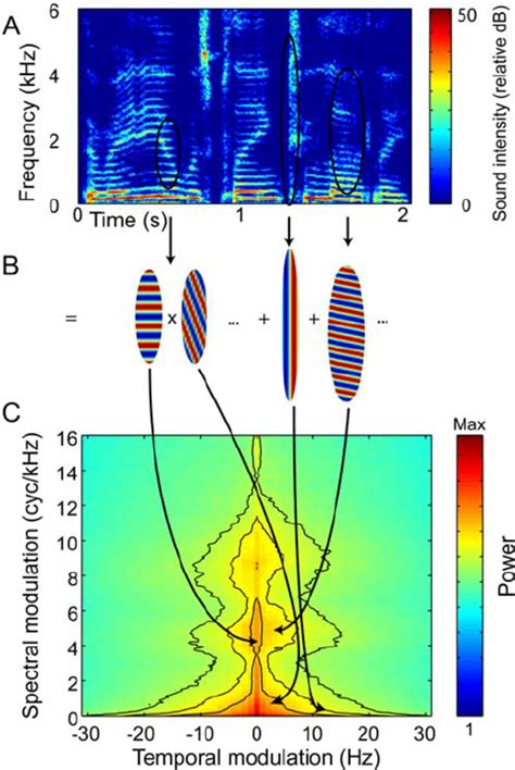 Component Spectrotemporal Modulations Make Up The Modulation Spectrum