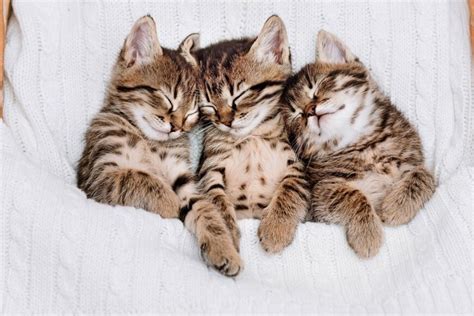 【6月13日支給分から増額】2025年度「年金生活者支援給付金」の給付基準額は2 7 も増える！どんな人が対象になるのか？申請方法も確認！ 現