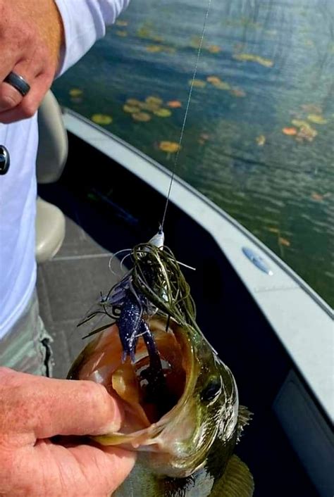 Ice Plastic Minion Tptackleco