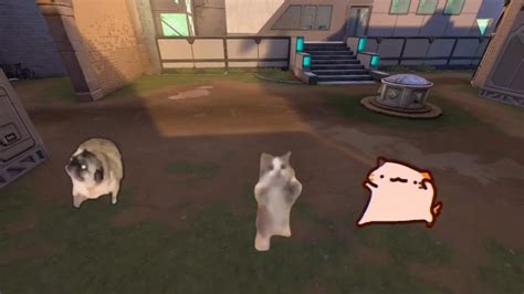 Hapi Hapi Hapi Rvalorantmemes