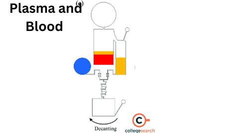What Is Decantation Definitions Examples Procedure Applications Advantages Disadvantages