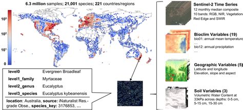 논문 리뷰 Globalgeotree A Multi Granular Vision Language Dataset For Global Tree Species