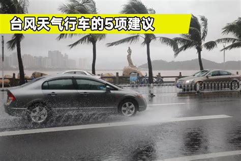 台风天气安全出行和避险指南来了，牢记这5项建议，看完都是经验凤凰网视频凤凰网