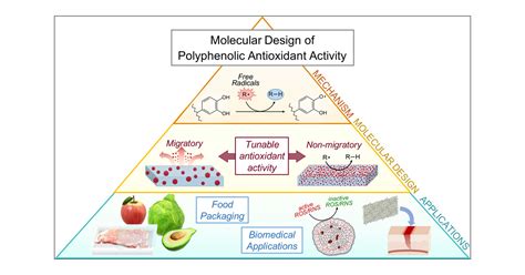 Integrating Antioxidant Functionality Into Polymer Materials