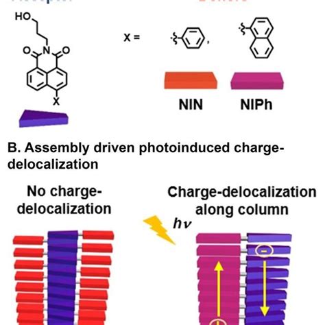 Supramolecular Assembly A Examples Of Noncovalent Binding B