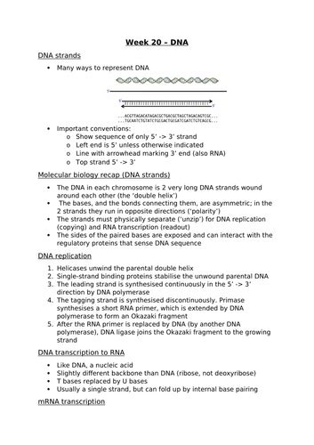 Dna Notes Teaching Resources