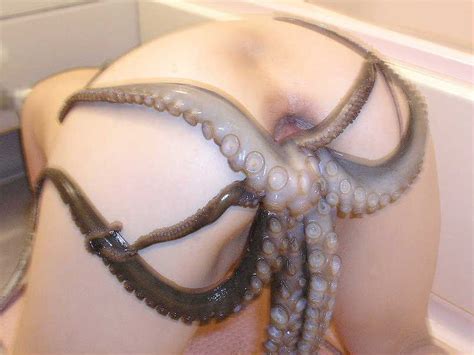 Sex With Octopus Repicsx Com