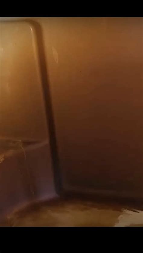 Mouse Toess Amazon Page