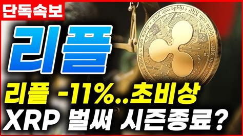 리플전망 리플 Etf 기대감 속 숨겨진 덫이 될 가능성 경고 일론머스크 갈링하우스 Etf출시 Youtube
