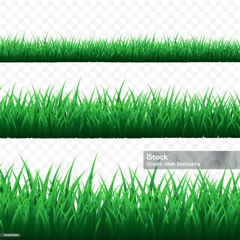녹색 잔디 테두리 투명 한 배경에 설정 합니다 벡터 일러스트 인조 잔디에 대한 스톡 벡터 아트 및 기타 이미지 인조 잔디 0명 건강관리와 의술 Istock