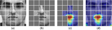 Multimodal Attention Dynamic Fusion Network For Facial Micro Expression Recognition