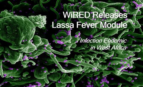 Wired Releases Lassa Fever Module Wired International