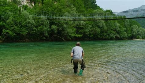 Dissolved Oxygens Effect On Ecosystems