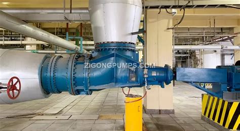 F Series Axial Flow Pump Sichuan Zigong Industrial Pump Co Ltd