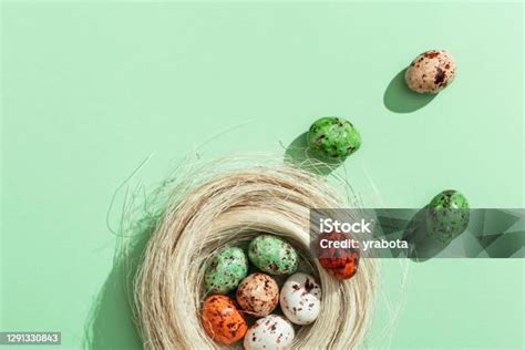 밝은 녹색에 짚 둥지에 메추라기 계란 복사 공간 작은 계란새 둥지와 최고 보기 봄 부활절 휴가 배경 0명에 대한 스톡 사진 및 기타 이미지 Istock