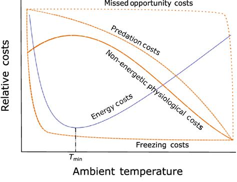 Predicted Relationships Between Ambient Temperature T A Here Used