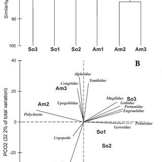 A Dendrogram Showing The Result Of Numerical Classification Of