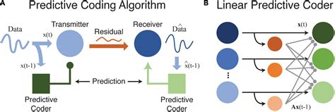 Frontiers Efficient Temporal Coding In The Early Visual System