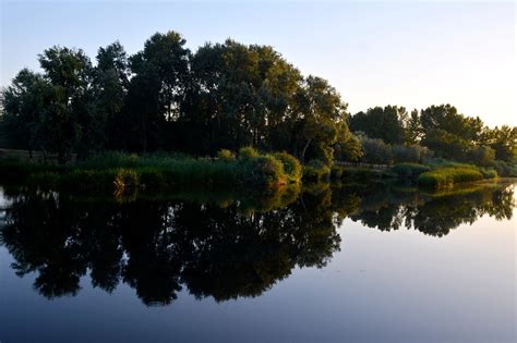 나무 강 여보 Pixabay의 무료 사진 Pixabay